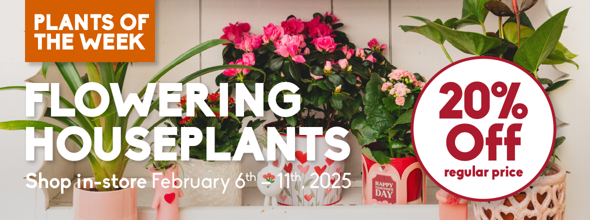 Sheridan Nurseries - Online Store