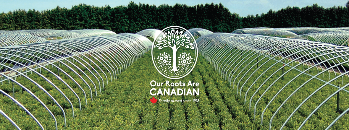 Sheridan Nurseries - Online Store