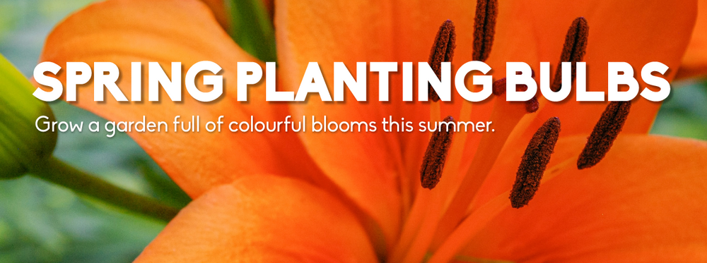 Sheridan Nurseries - Online Store