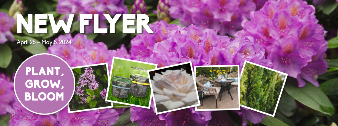 Sheridan Nurseries - Online Store