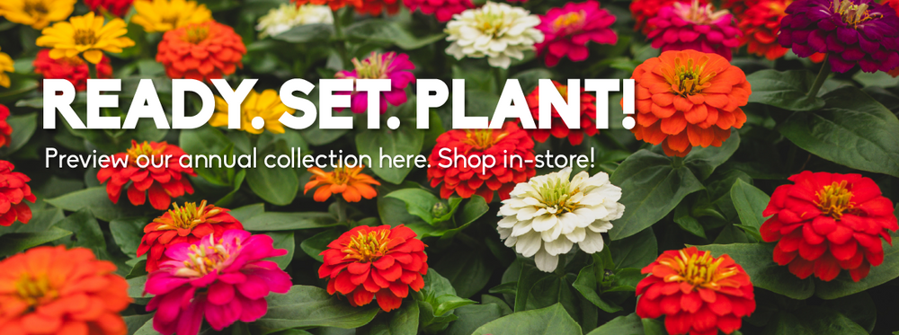Sheridan Nurseries - Online Store