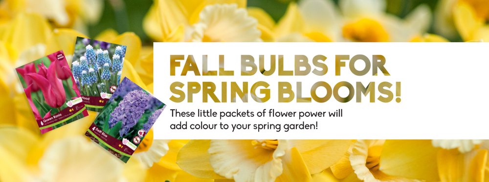 Sheridan Nurseries - Online Store