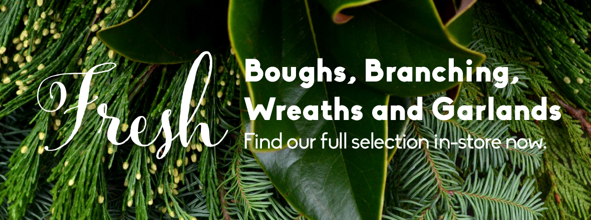 Sheridan Nurseries - Online Store