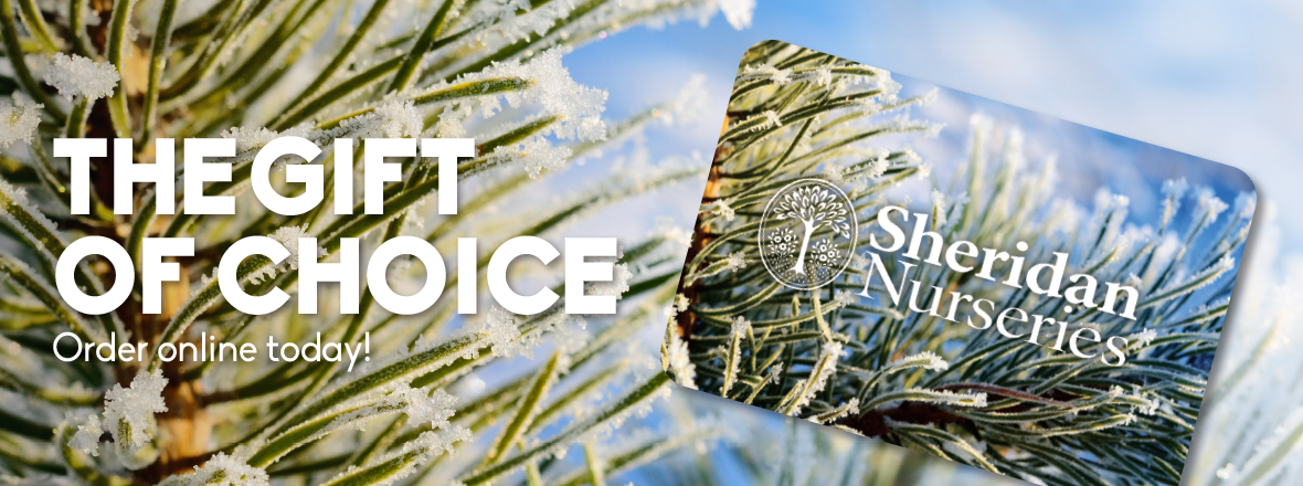 Sheridan Nurseries - Online Store