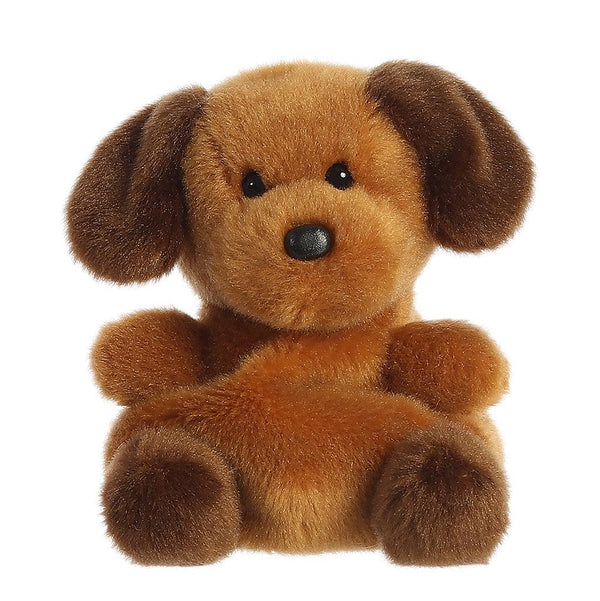 Ruff Ruff Puppy Palm Pal 5" - Sheridan Nurseries Online