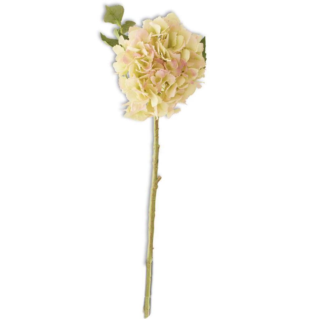 Real Touch Hydrangea - Sheridan Nurseries Online