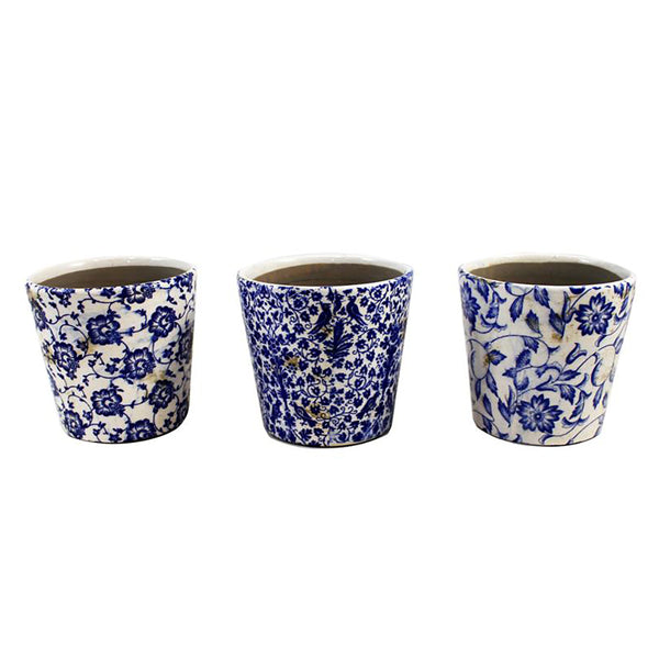 White & Blue Flower Pot - Sheridan Nurseries Online