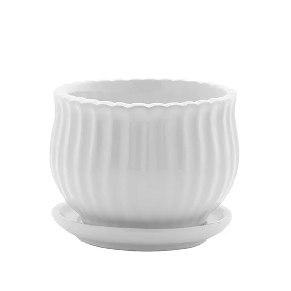 White Scalloped Pot with Saucer - Sheridan Nurseries Online