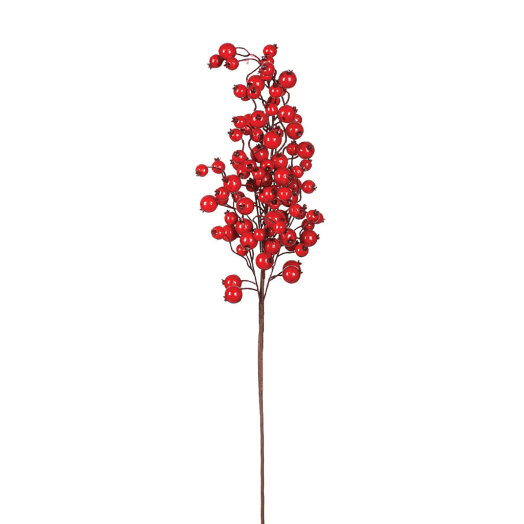 Matte Cream Cranberry Spray - Sheridan Nurseries Online