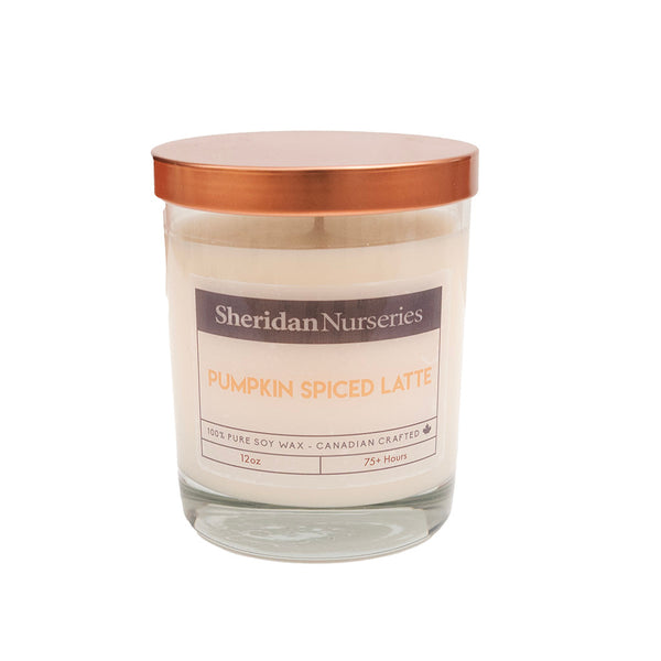 Sheridan Pumpkin Spice Latte 12oz Candle - Sheridan Nurseries Online