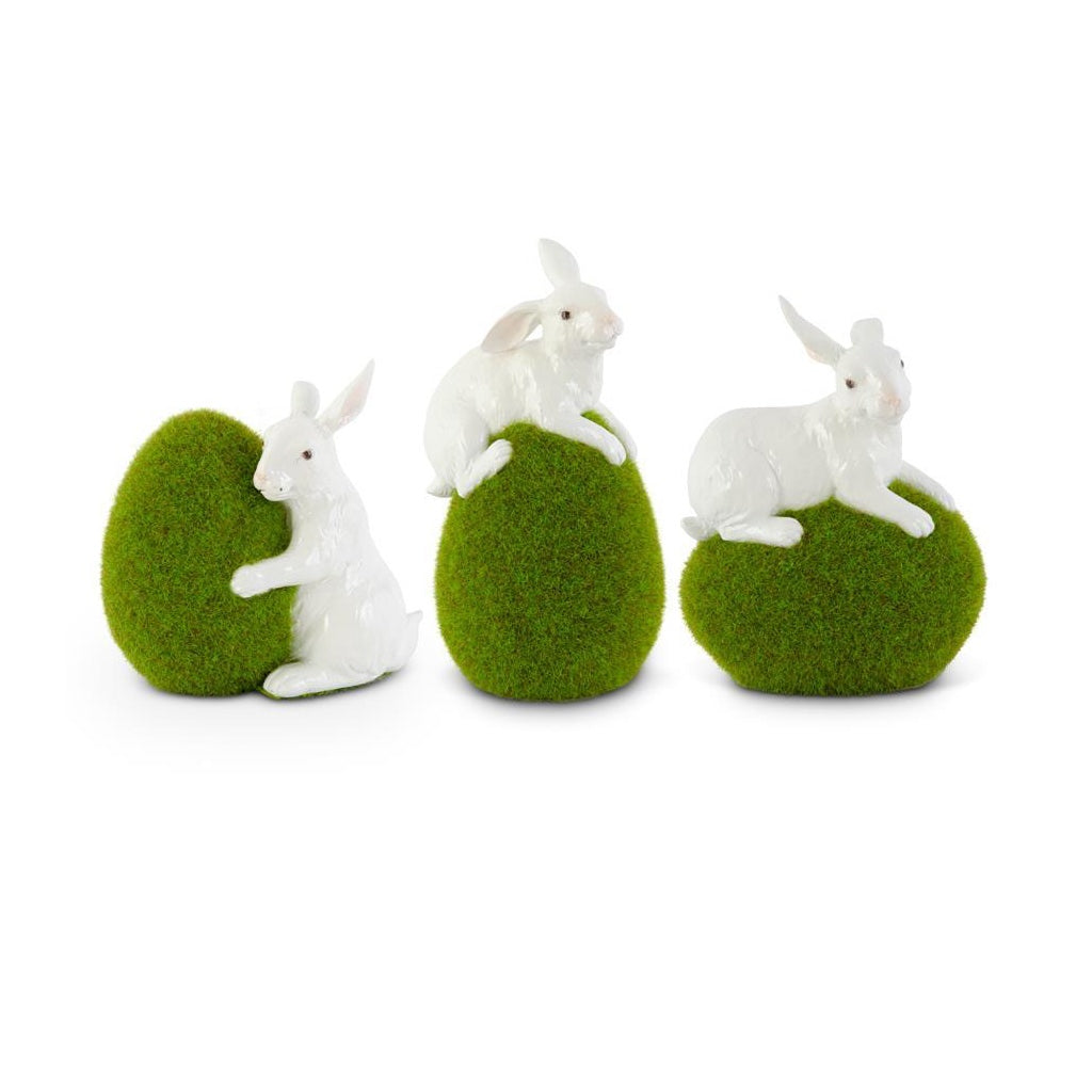 Glossy Bunny Hugging Moss Egg 5.5In - Sheridan Nurseries Online