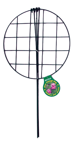 Grow Through Ring 16" Green - Sheridan Nurseries Online