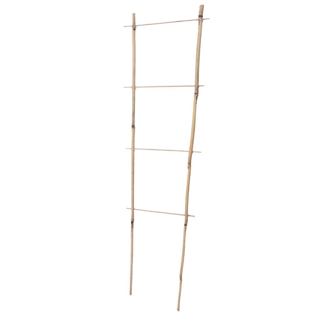 Bamboo Ladder Trellis 30" - Sheridan Nurseries Online