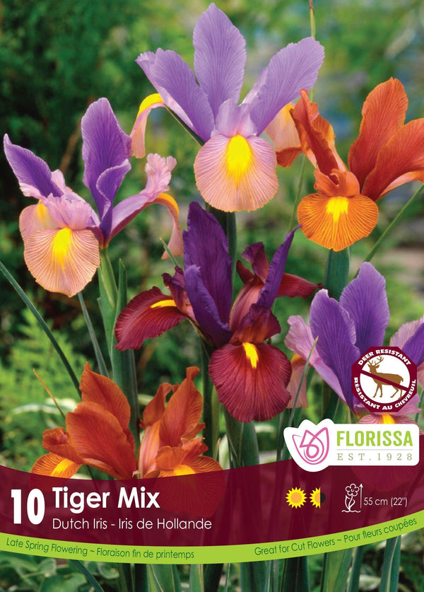 Iris Tiger Mix 10/Pkg - Sheridan Nurseries