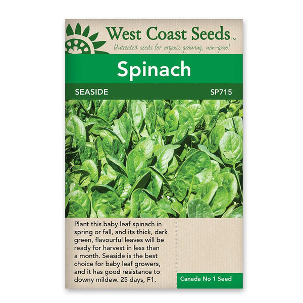 Spinach Seaside Seeds - Sheridan Nurseries Online