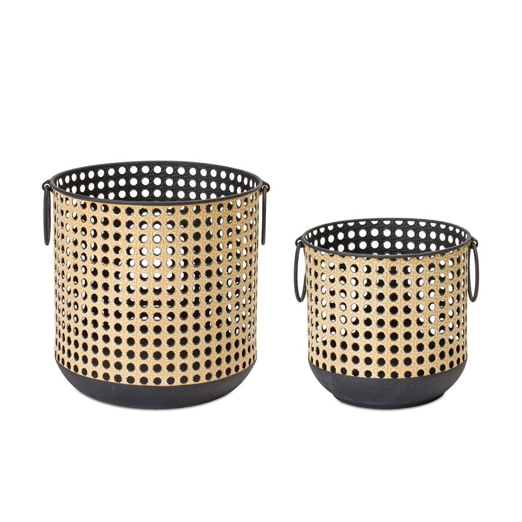 Iron Container - Sheridan Nurseries Online
